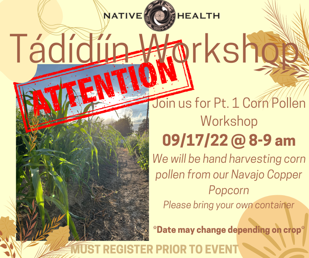 CHW – Tádí­dí­í­n Workshop (Part 1) - Native Health of Phoenix