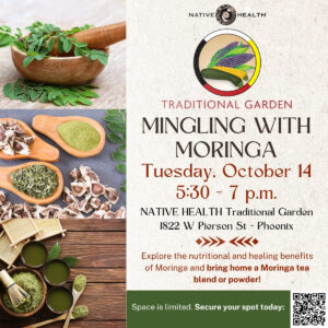 Traditional Garden: Mingling with Moringa - Native Health of Phoenix